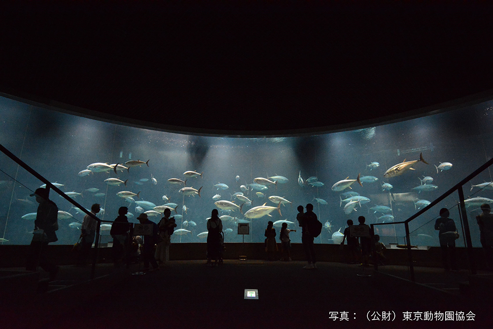 Kasai Rinkai Aquarium Barrier-free Information | Tokyo for Everyone