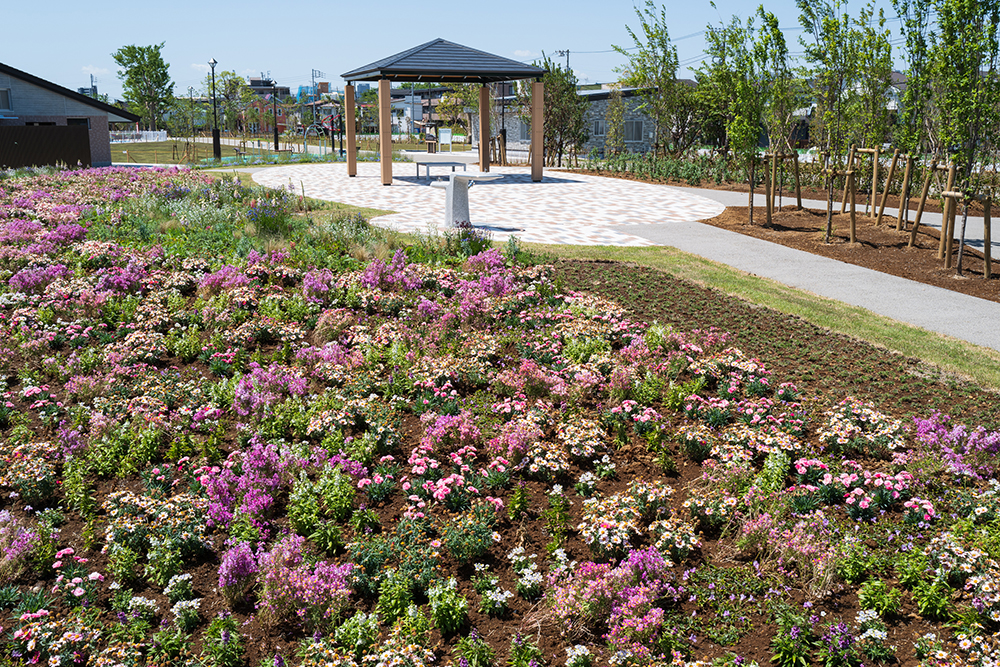 Barrier-free information for Nerima Castle Ruins Park | Anyone Tokyo